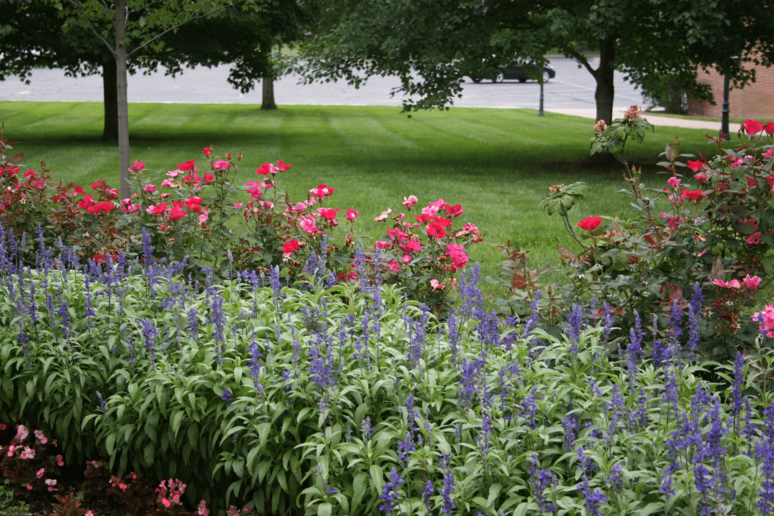 Tree Doctor - Martz Bros Lawn Care